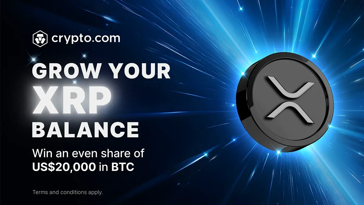 Our June edition of the XRP App Campaign kicks off | OnChainAnalytics ...